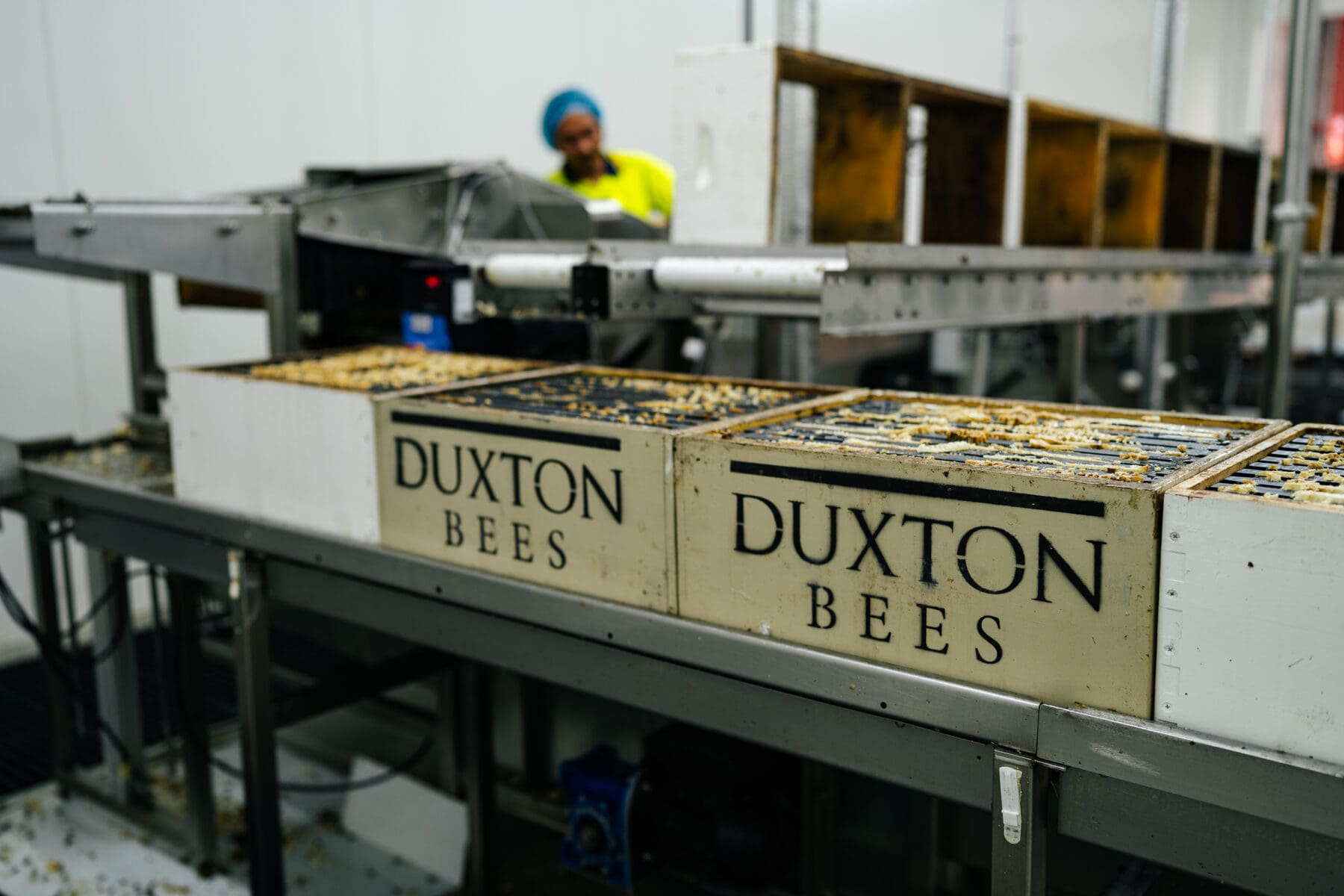 Duxton Bees - Fuzzy Bum